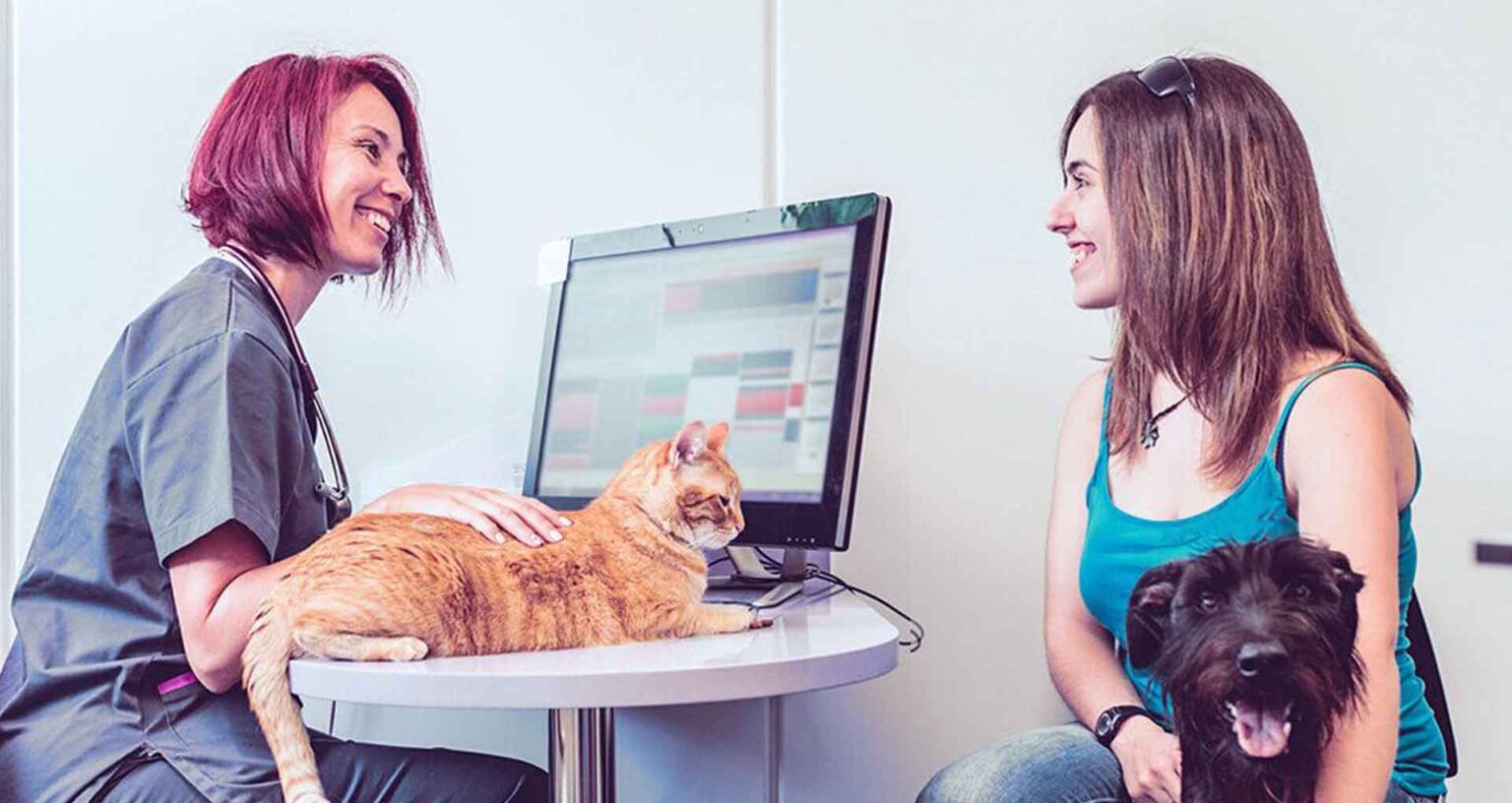 Veterinary Practice Management System Development